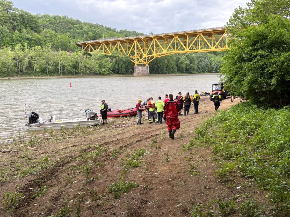 Donora child drowns in Monongahela River - Observer-Reporter